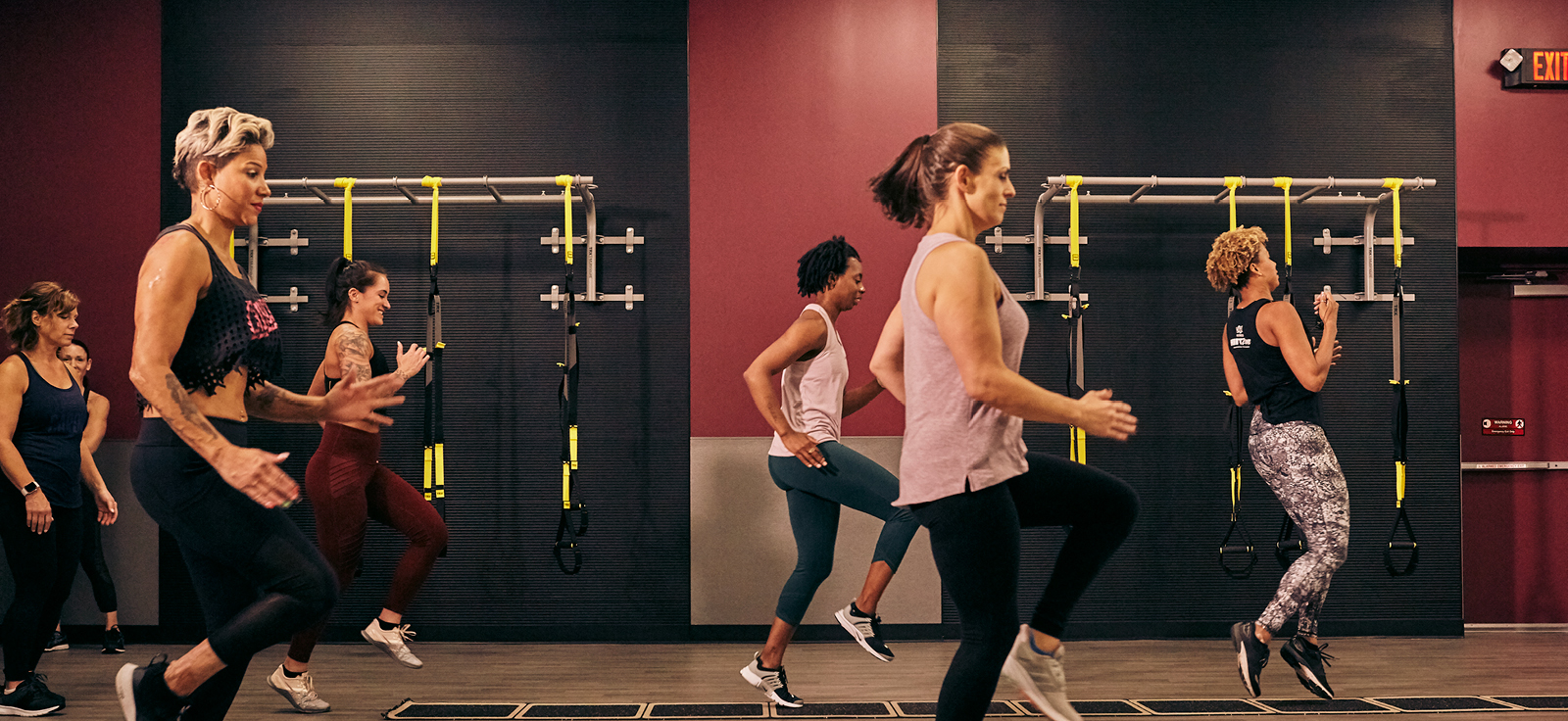 EVOLVE: ABILITY - Crunch