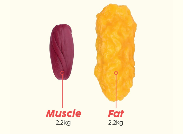 4 Possible Reasons Why You Might Gain Weight While Working Out - Crunch
